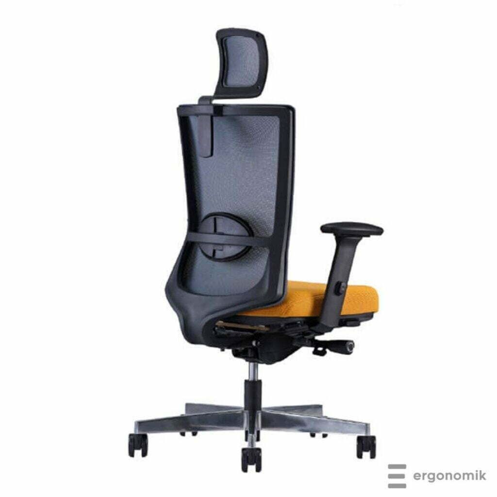 Ergonomik - Ergonomski pisarniški stol Forte - SUPER CENA!